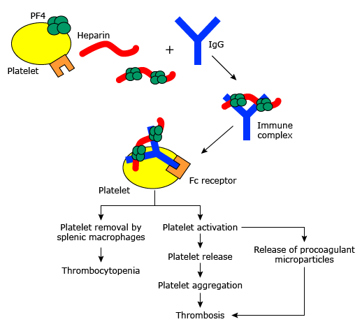 When are you concerned about HIT? – Inspired MedEd