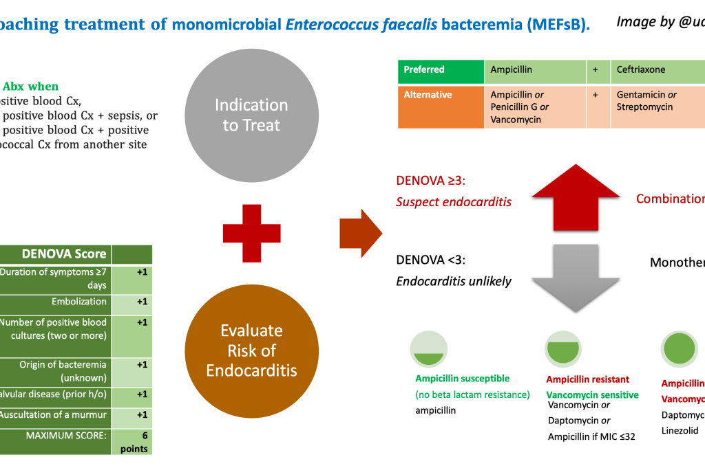 How do you approach enterococcal bacteremia? – Inspired MedEd