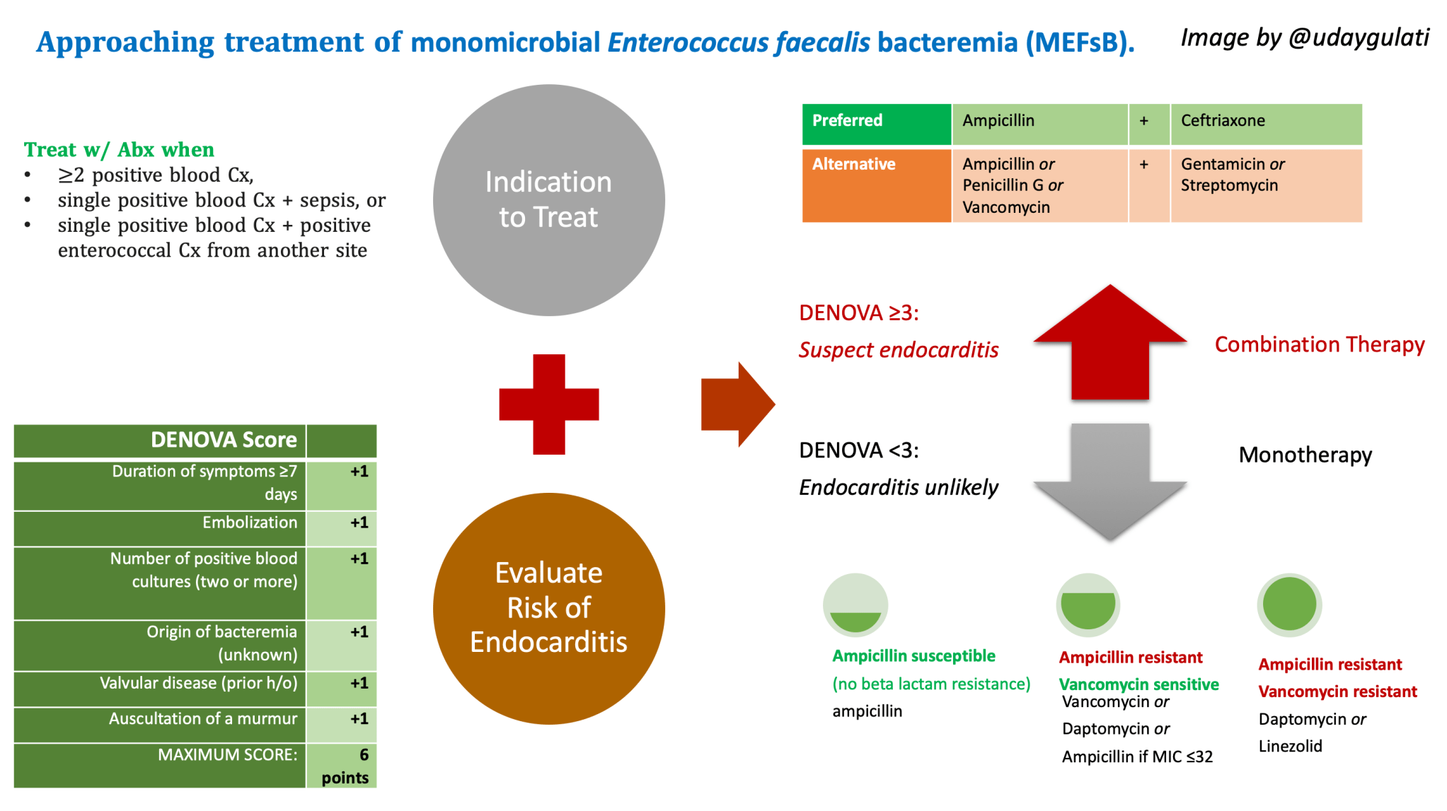 How do you approach enterococcal bacteremia? – Inspired MedEd