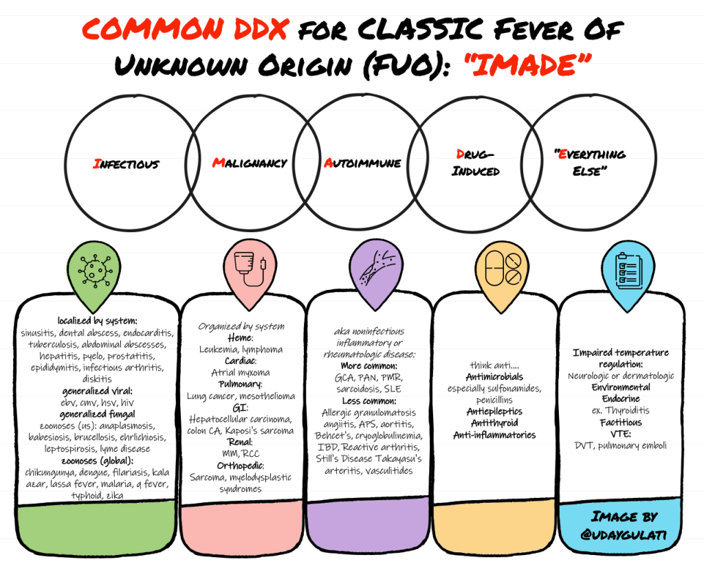 How do you work-up FUO? – Inspired MedEd